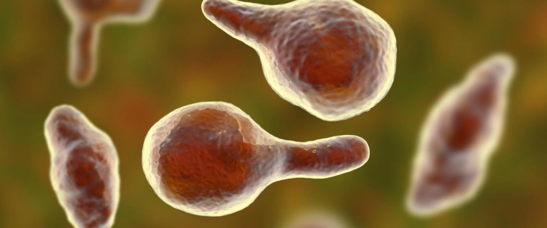 Are You STD Free? How to Know for Sure